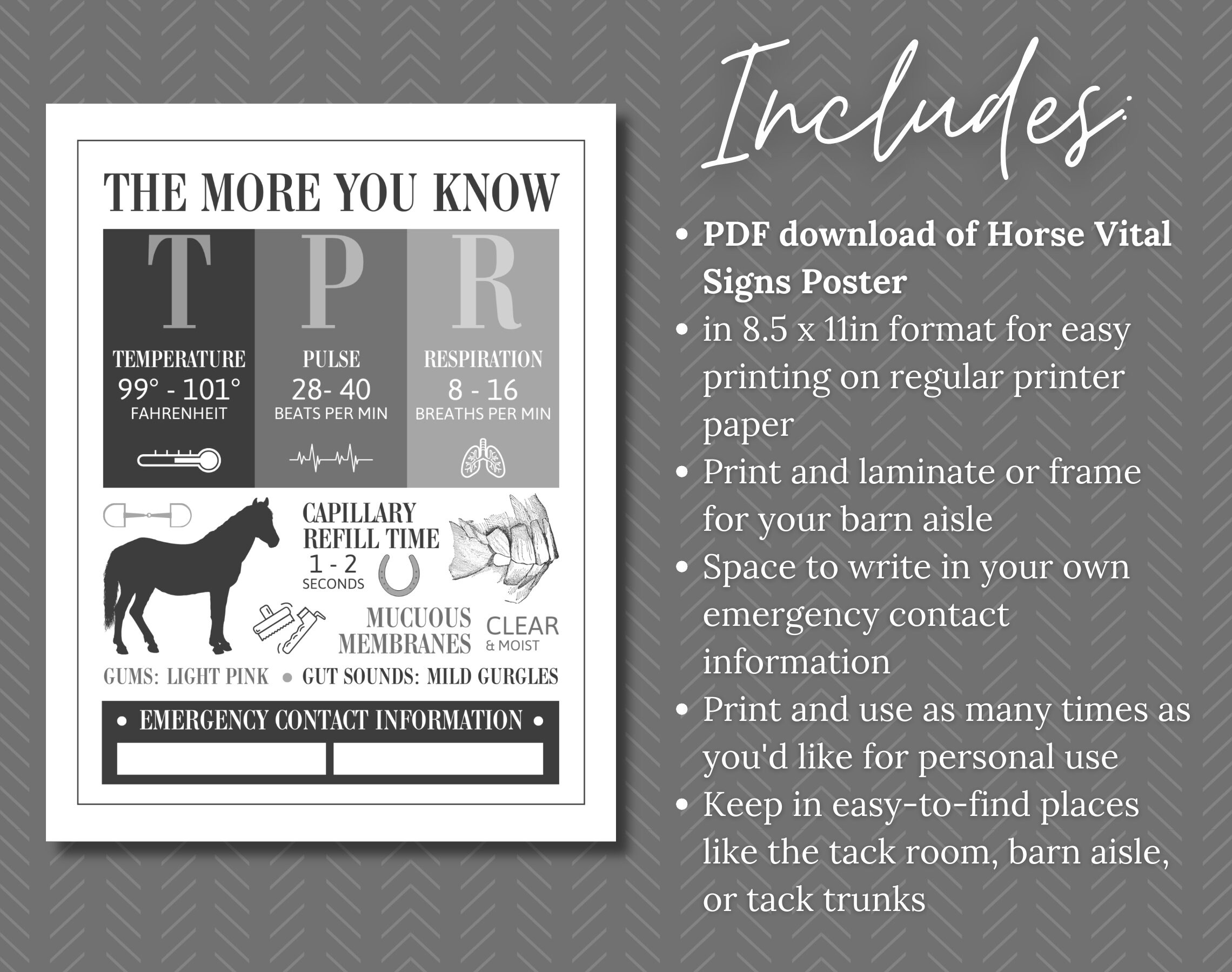 Horse Vital Signs Poster Barn Emergency Contact Info Sign Equine ...