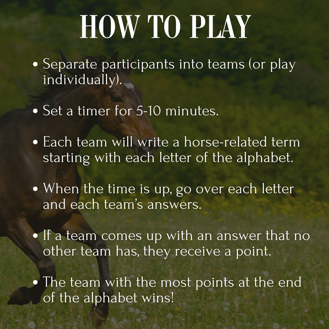 Horse-themed Game | Alphabet Educational Equine Activity | Horse Camp ...