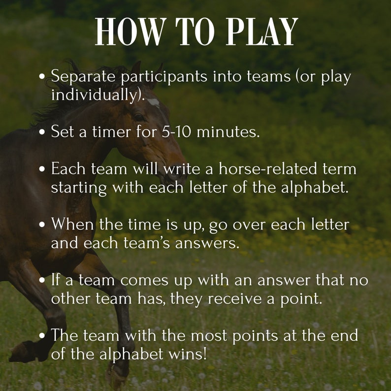 Horse-themed Game | Alphabet Educational Equine Activity | Horse Camp ...