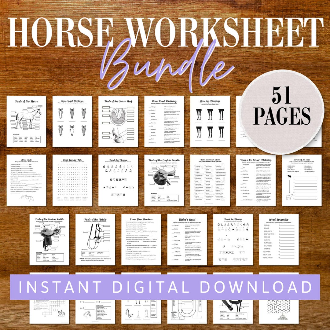 Horse Camp Worksheet Bundle | Horseback Riding Lesson Rain Day Activity | Homeschool Horse ...