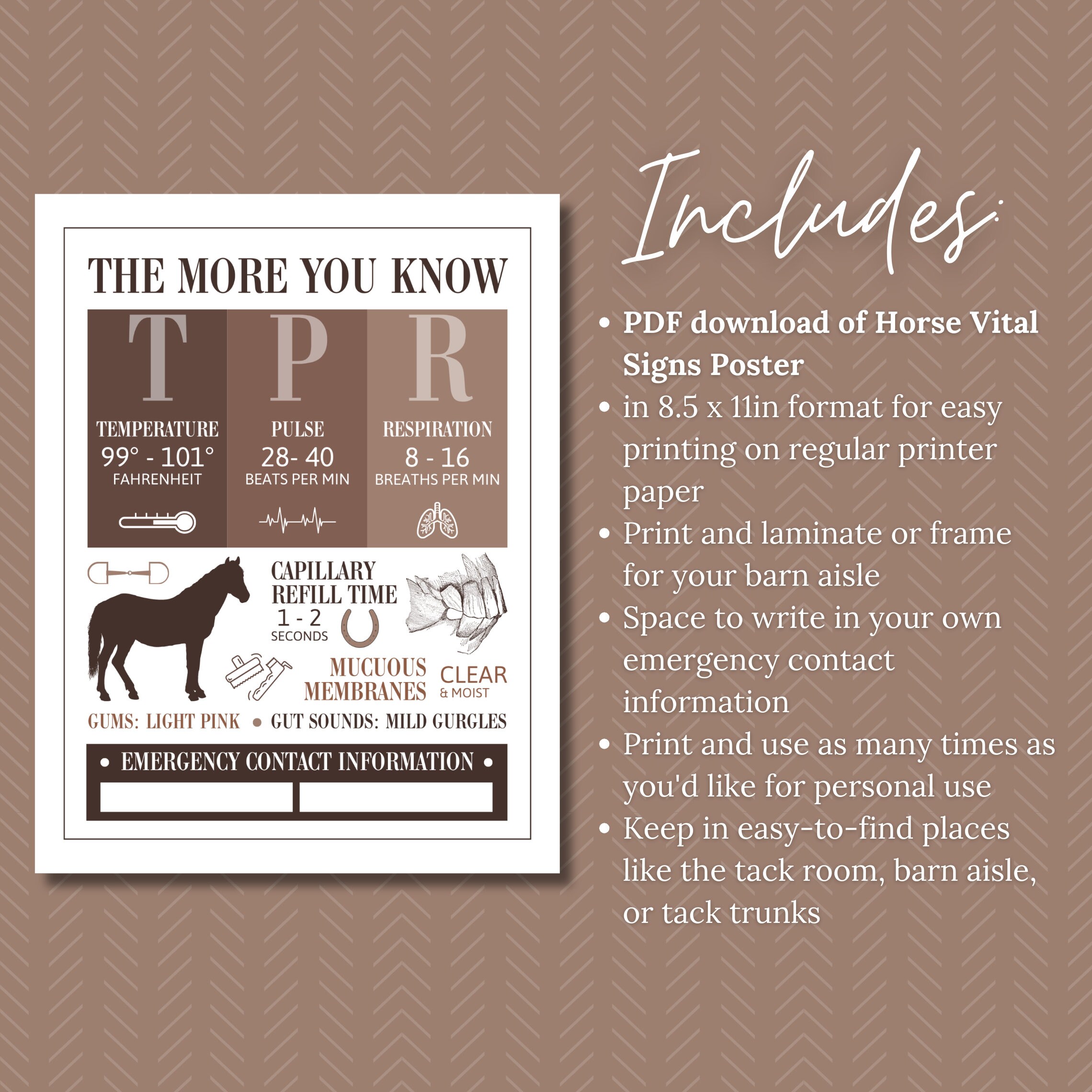 Horse Vital Signs Poster | Barn Emergency Contact Info Sign | Equine ...