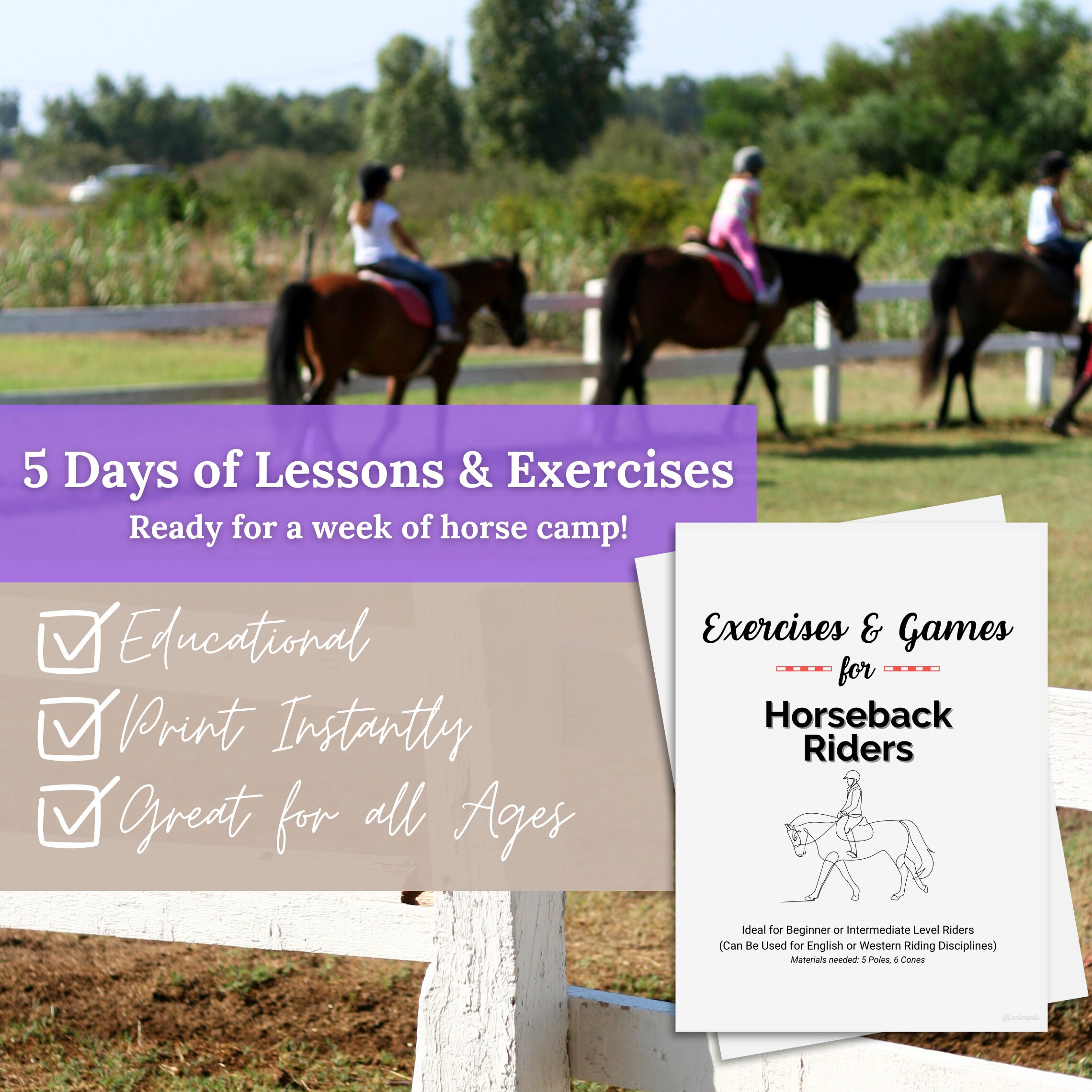 Horse Camp Activity Worksheet | Horseback Riding Lesson Plan ...