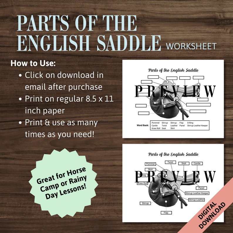 Horse Camp Activity Worksheet | Parts of the English Saddle Worksheet ...