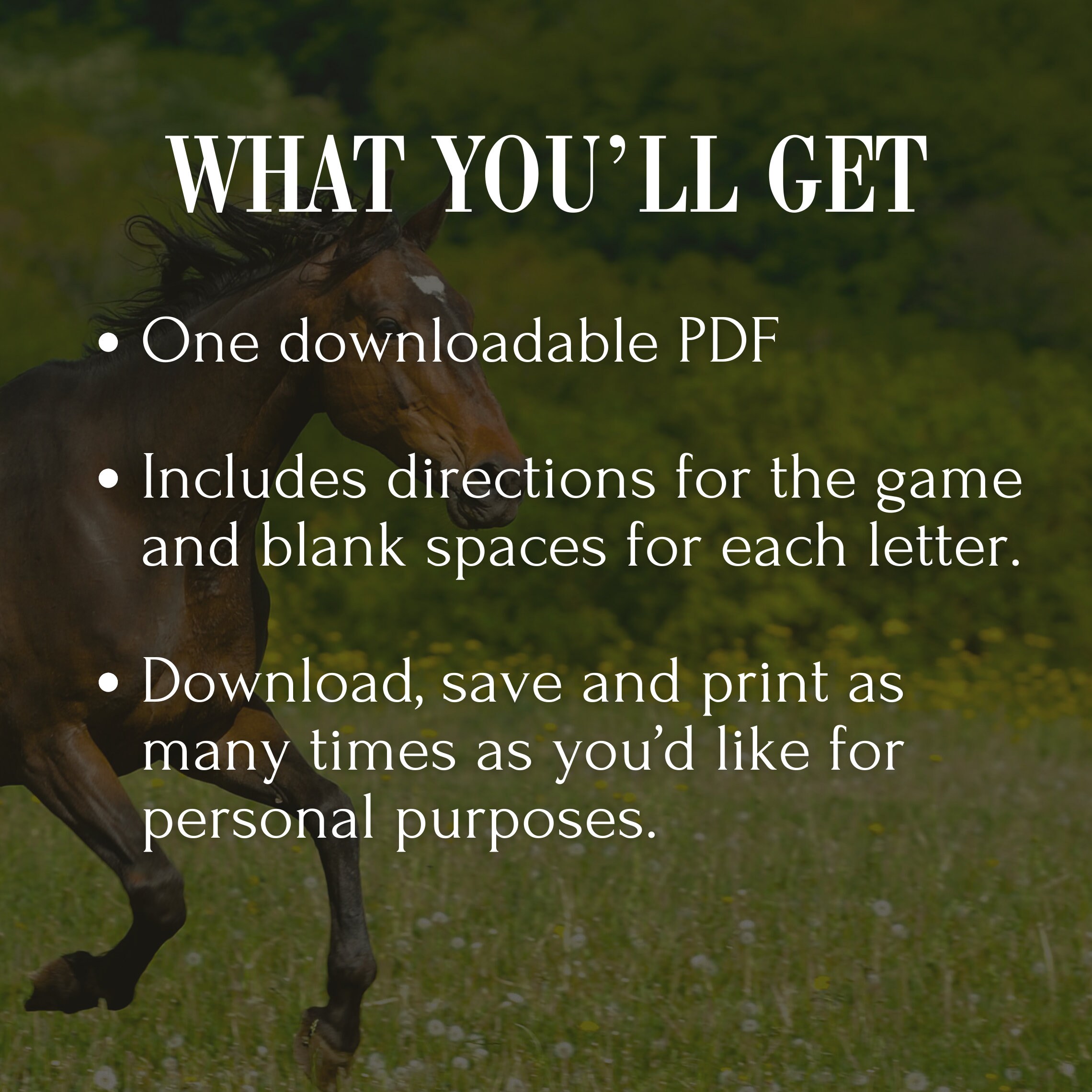 Horse-themed Game | Alphabet Educational Equine Activity | Horse Camp ...