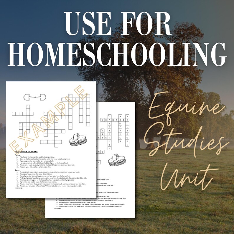 Horse Crossword Puzzle Bundle | Equestrian Studies (digital Download ...