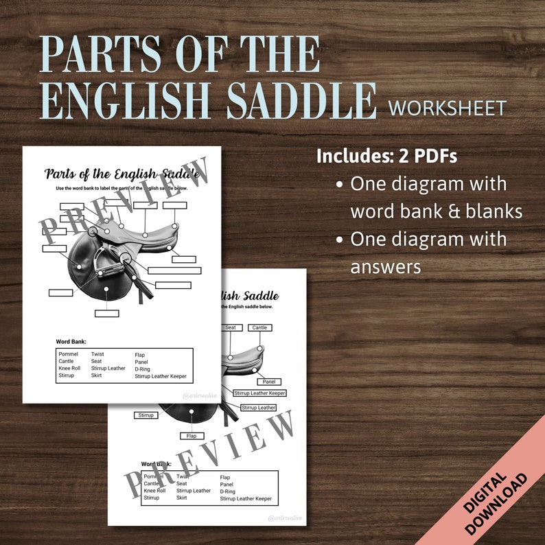 Parts of the English Saddle Horse Camp Worksheet Activity | Horseback ...
