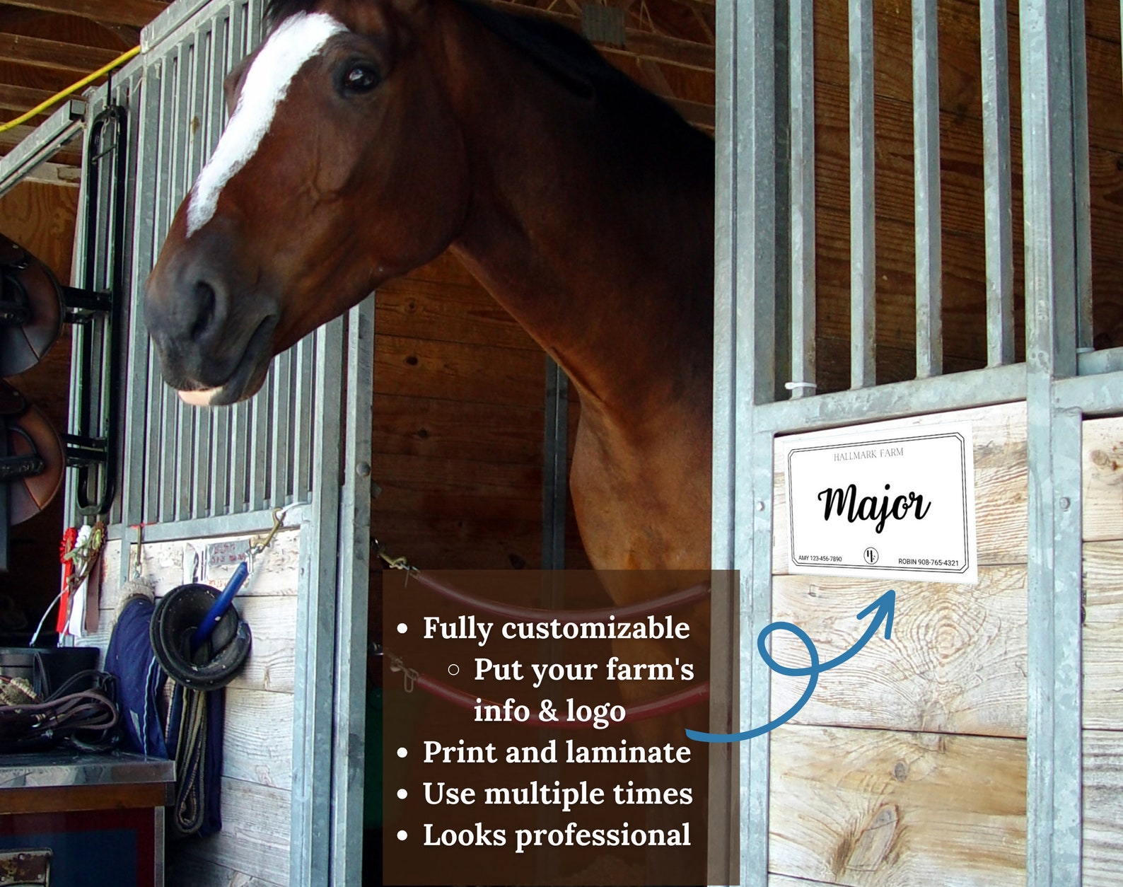 Stall Card Template | Horse Name Plate | Horse Stall Name Card | Horse ...