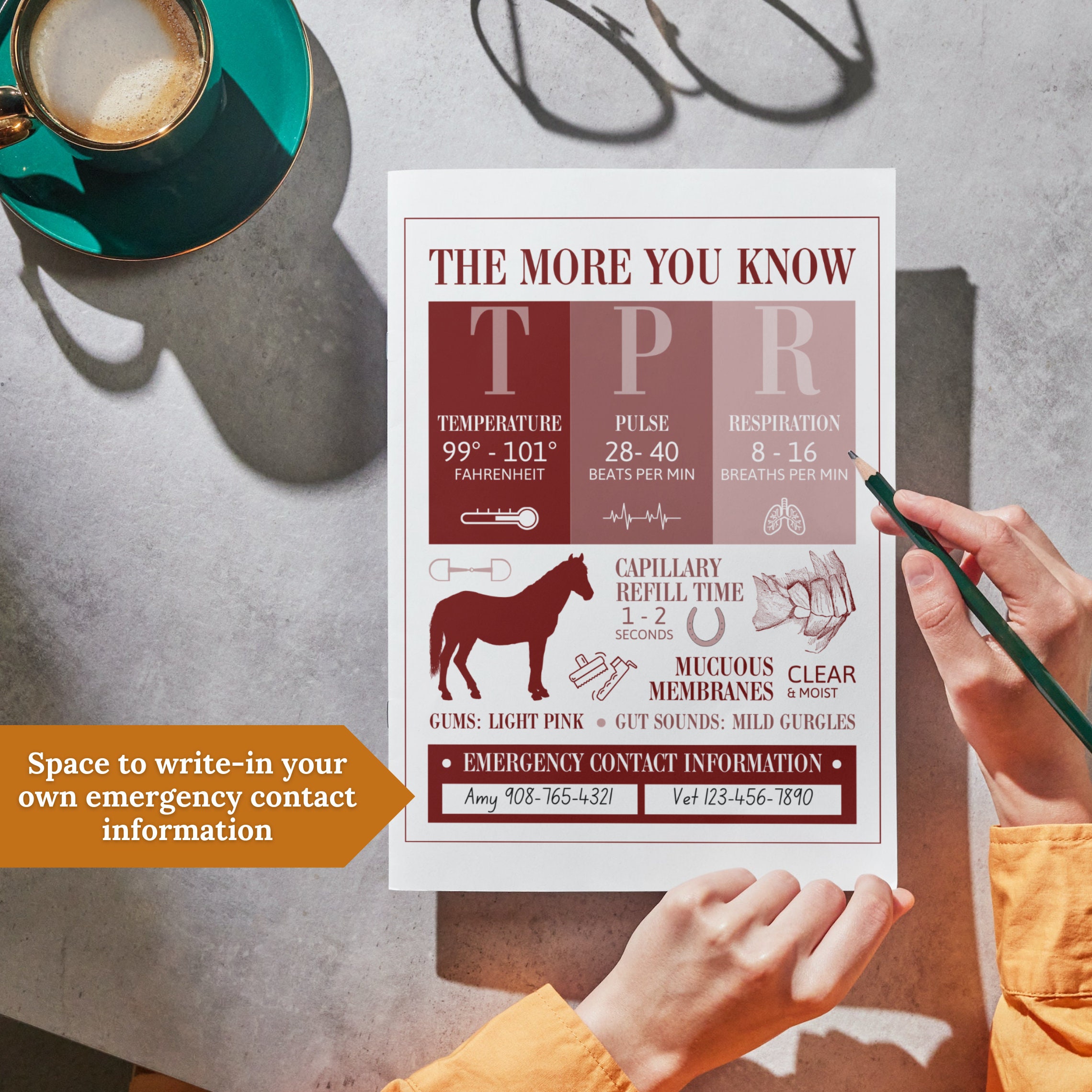 Horse Vital Signs Poster | Barn Emergency Contact Info Sign | Equine ...