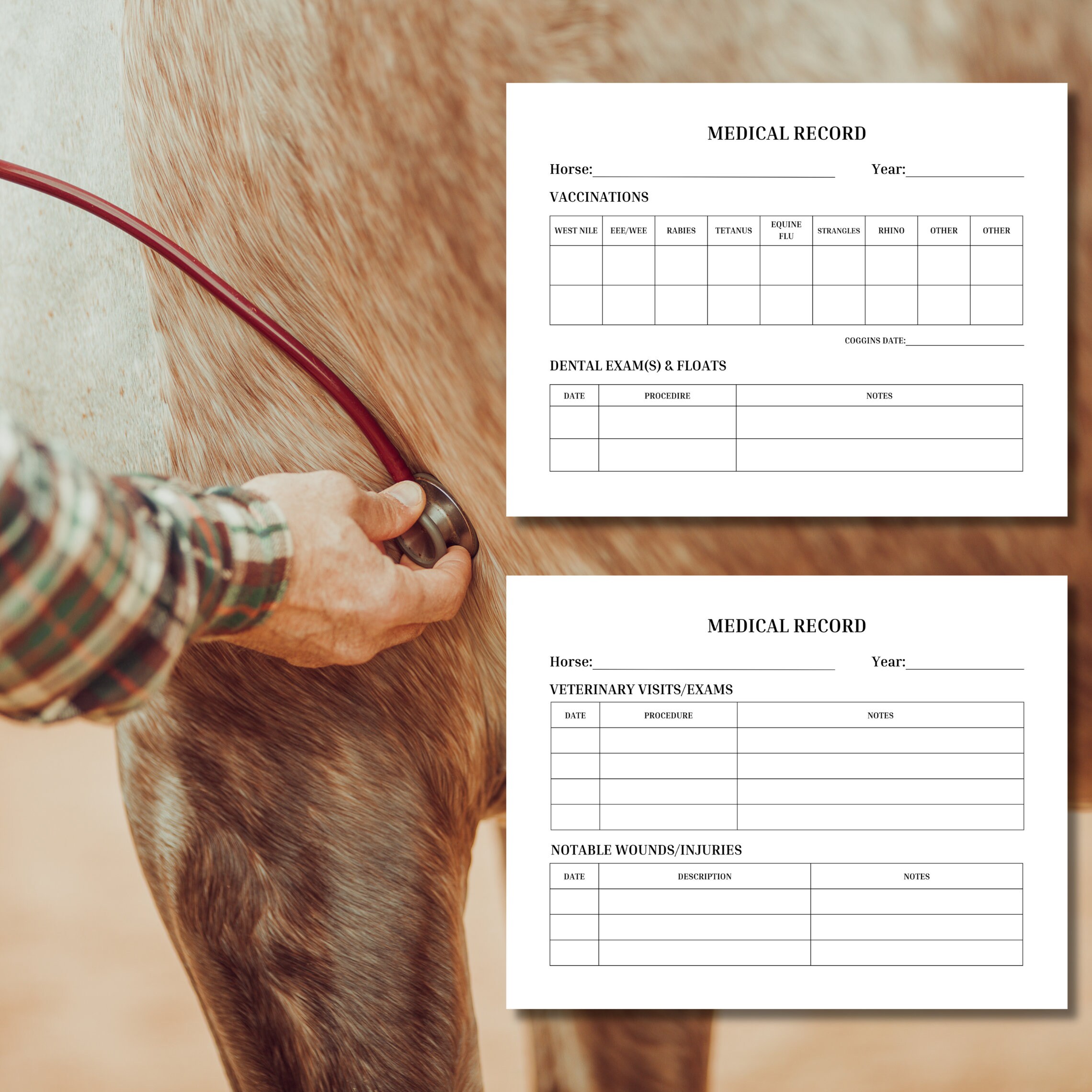 Horse Medical Record Tracking | Equine Veterinary Visit Log ...
