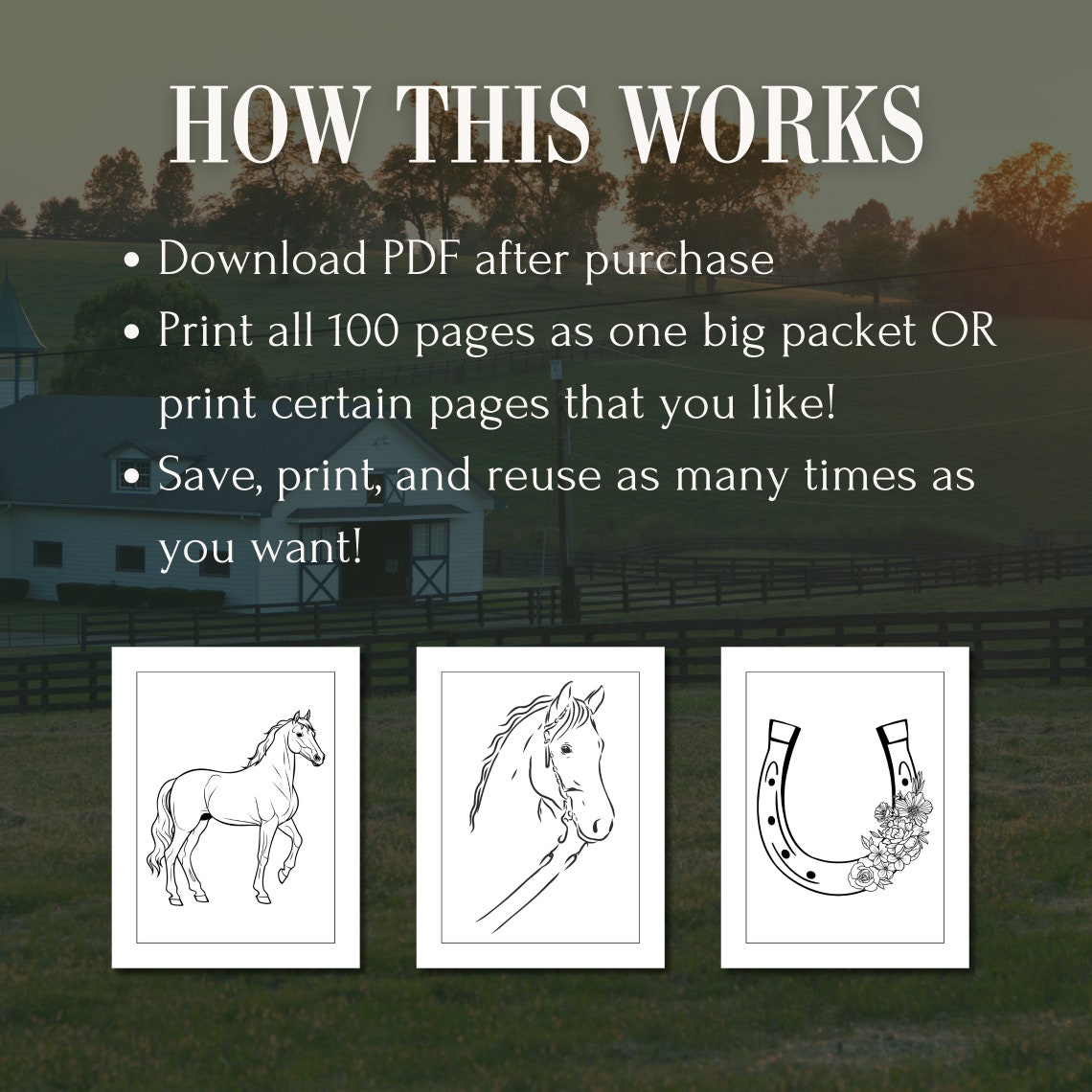 100 Horse Coloring Pages | Horses Coloring Book for Kids | Horse Camp ...
