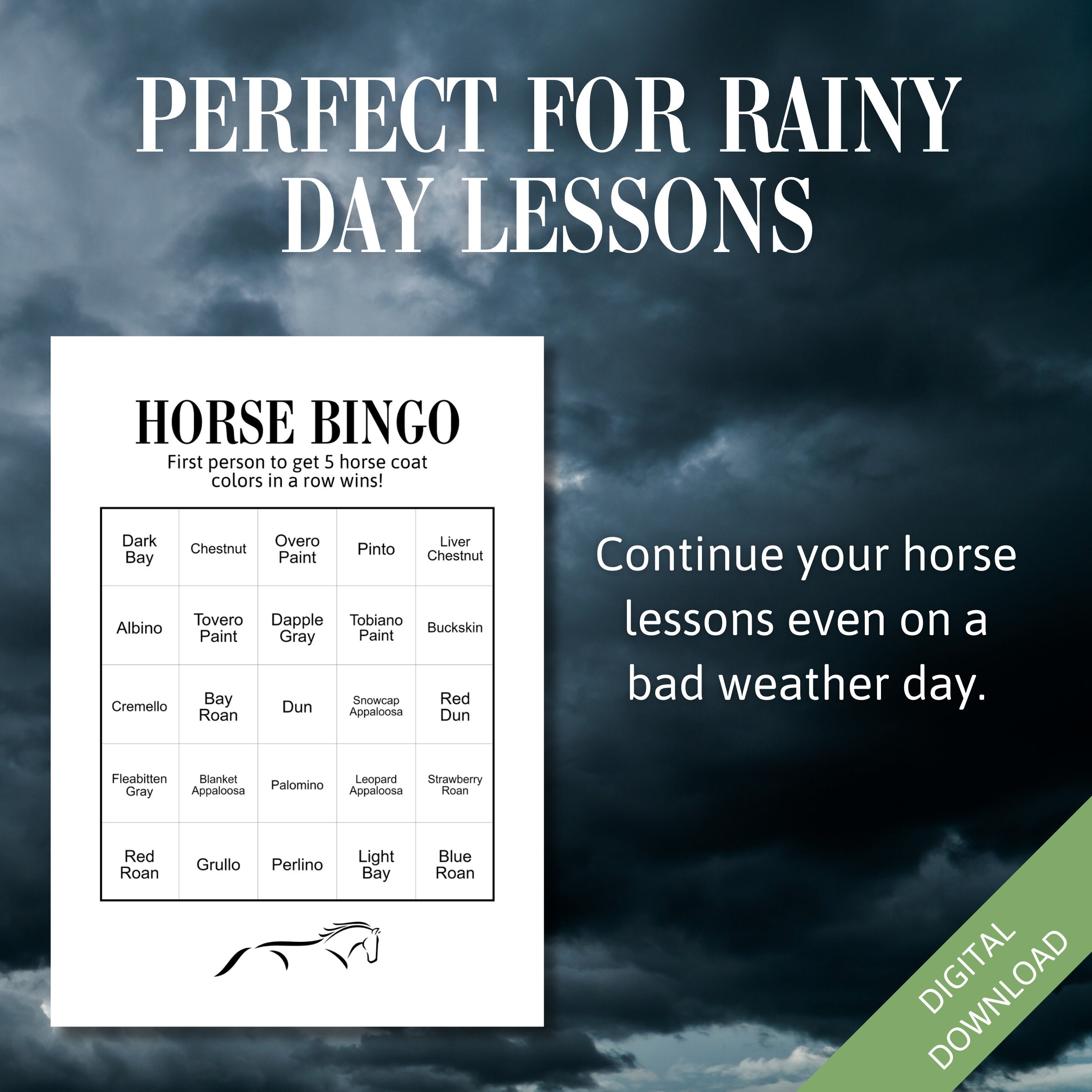 Horse Bingo Card | Horse Camp Worksheet | Horseback Riding Lesson ...