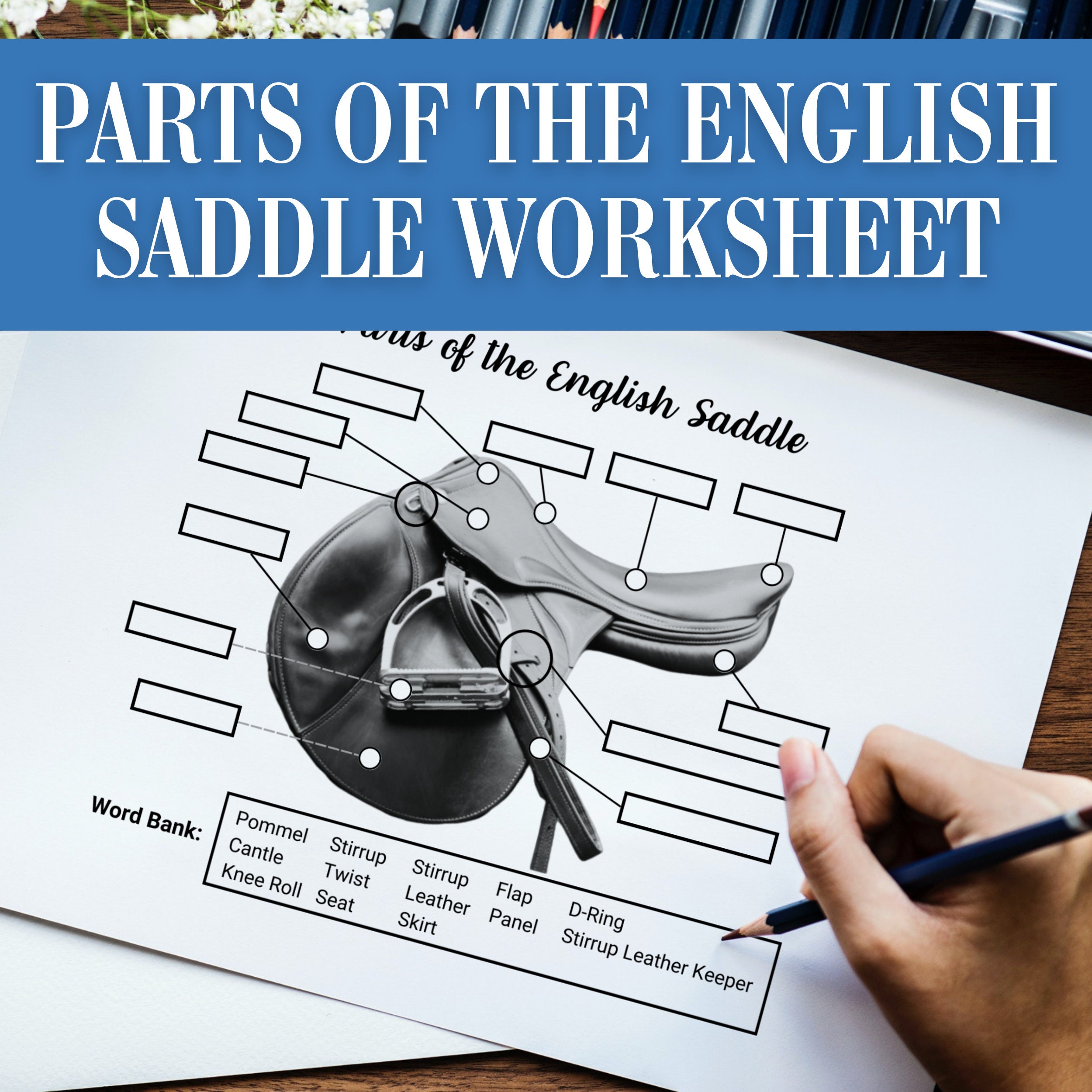 Horse Camp Activity Worksheet | Parts of the English Saddle Worksheet ...