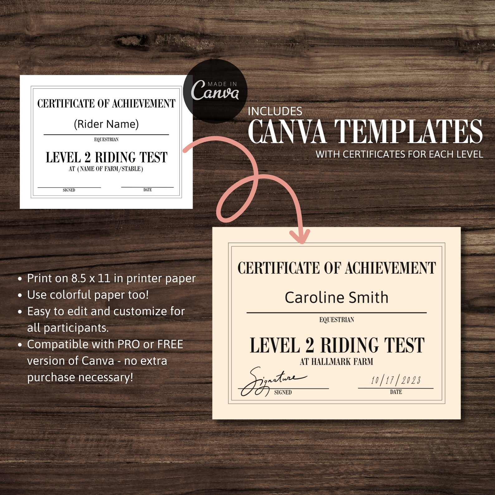 Horseback Riding Ability Tests Equine Curriculum Horsemanship Test ...