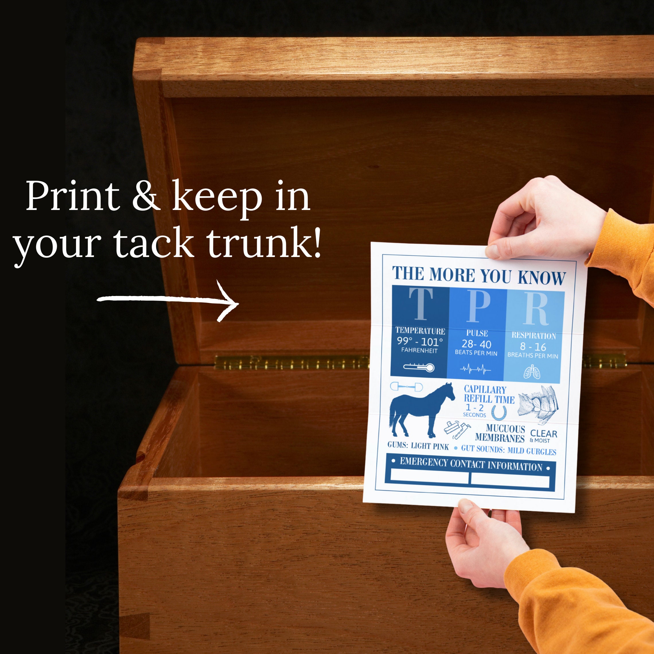 Horse Vital Signs Poster | Barn Emergency Contact Info Sign | Equine ...