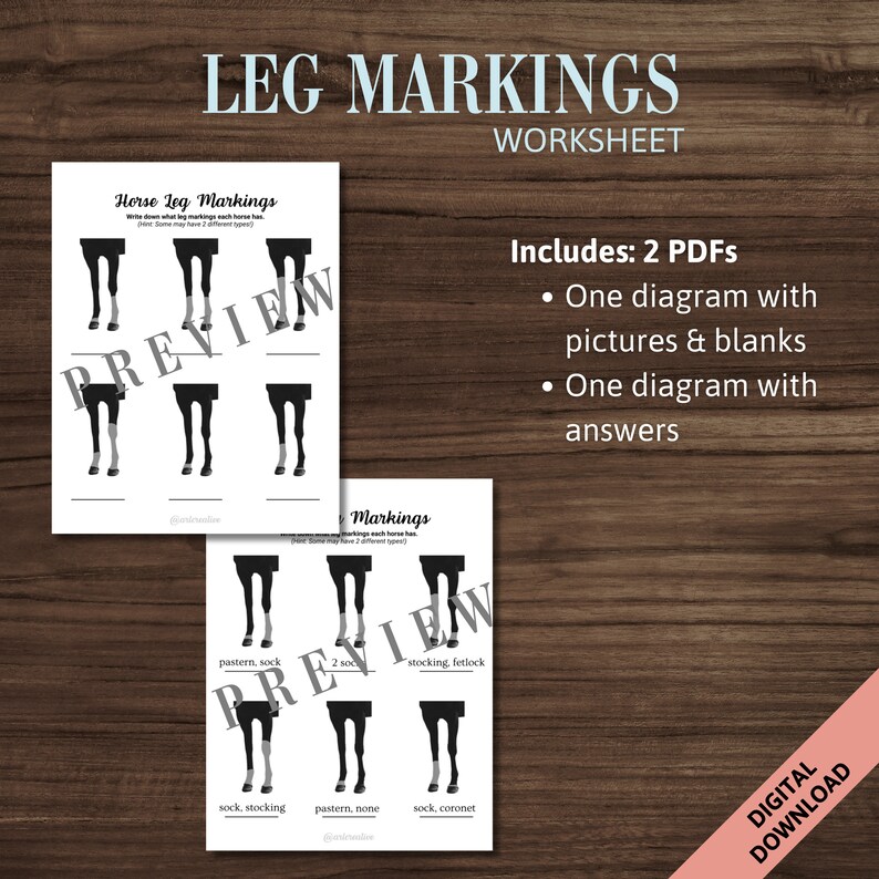 Label Horse's Markings Camp Activity Worksheet Printable | Equine Homeschool Learning Equestrian ...