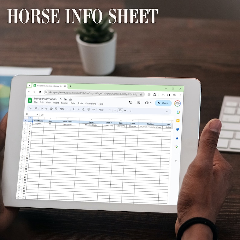 Horse Farm Management Spreadsheet | Barn or Stable Organization ...