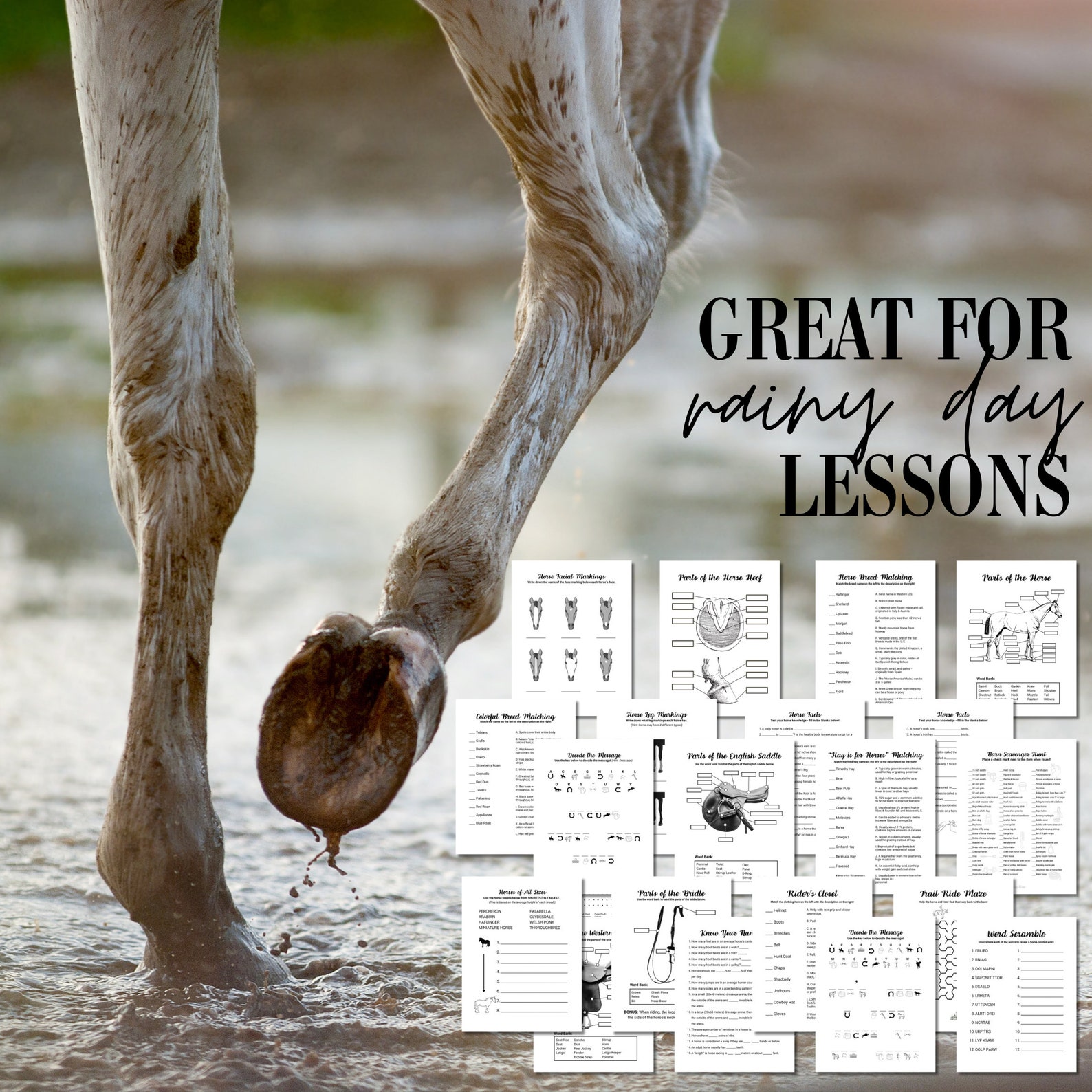 Horse Camp Worksheet Bundle | Horseback Riding Lesson Rain Day Activity ...