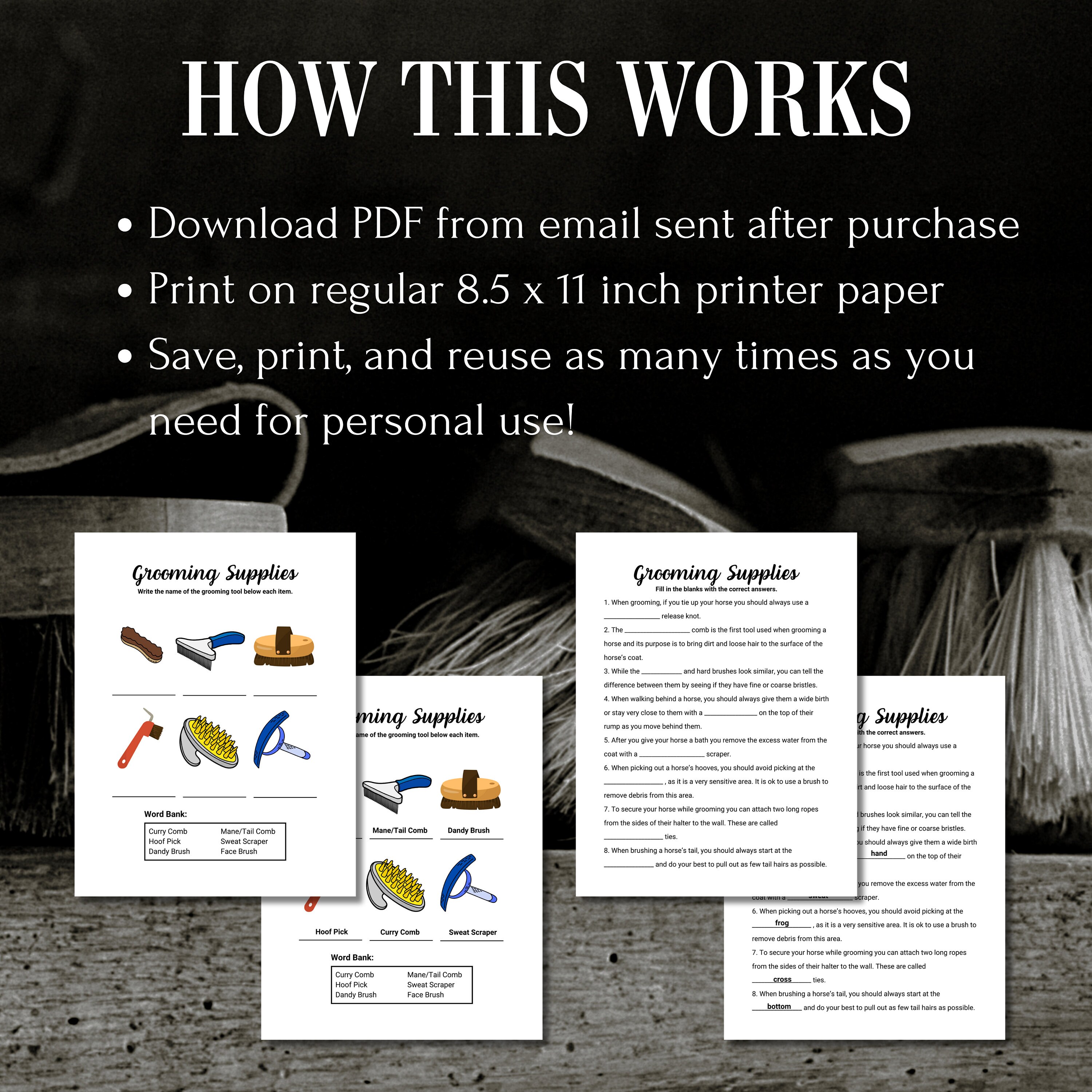 Horse Grooming Worksheets | Pony Grooming Supplies | Horse Camp ...