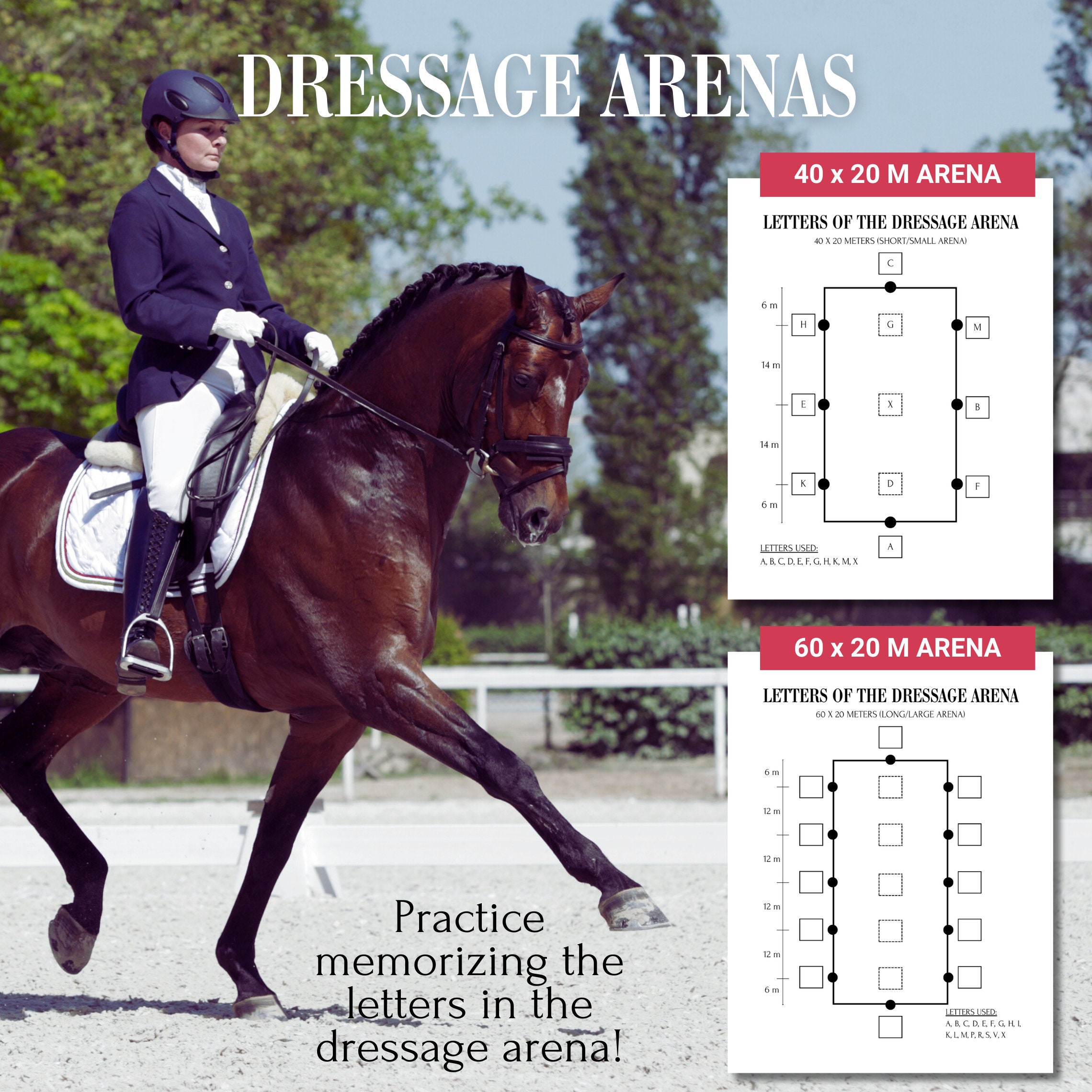Horse Arena Worksheet Bundle | Horse Racing Track Labeling | Dressage ...