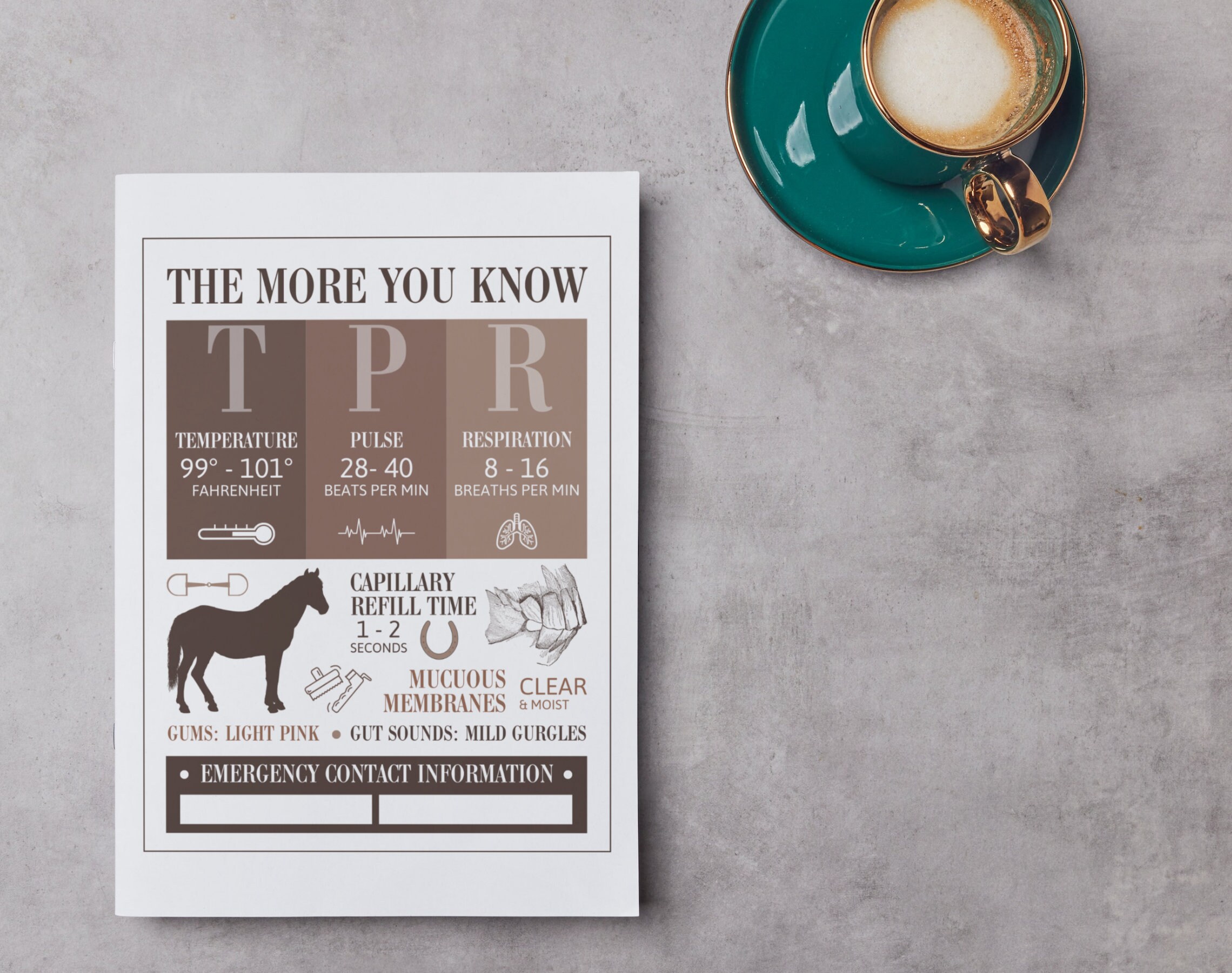 Horse Vital Signs Poster | Barn Emergency Contact Info Sign | Equine ...