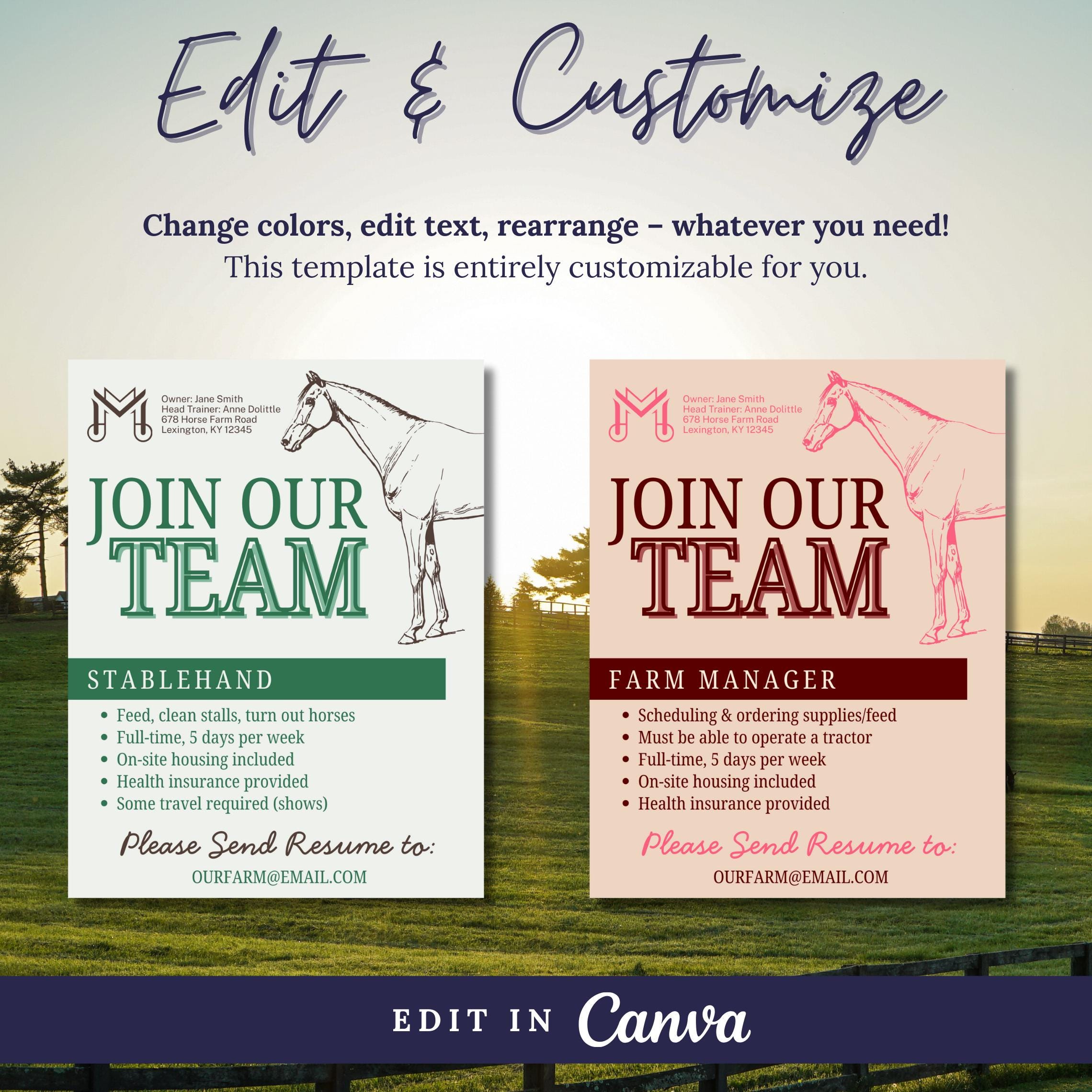 Flyer Template Equestrian Business | Equine Industry Digital Download ...