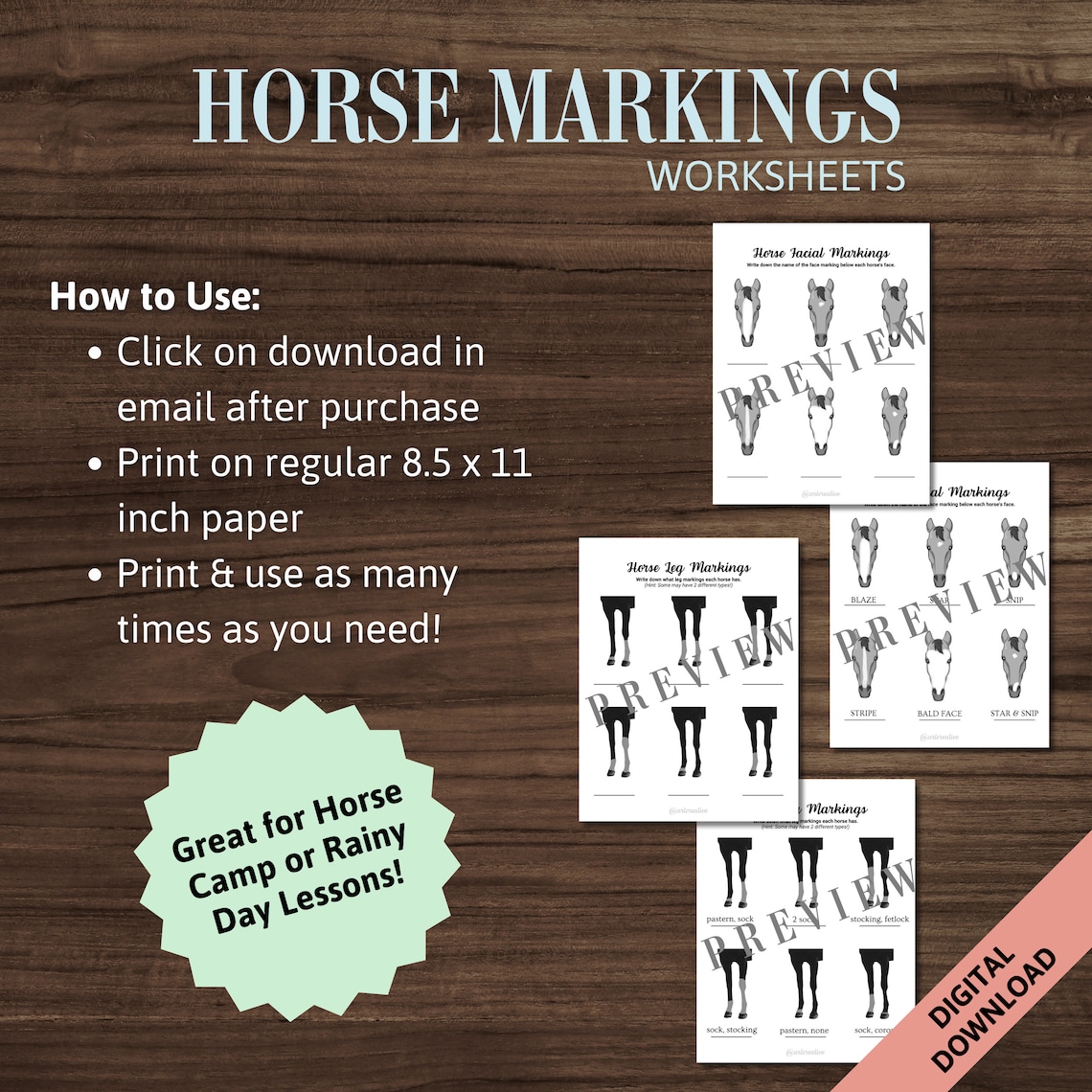Label Horse's Markings Camp Activity Worksheet Printable | Equine ...