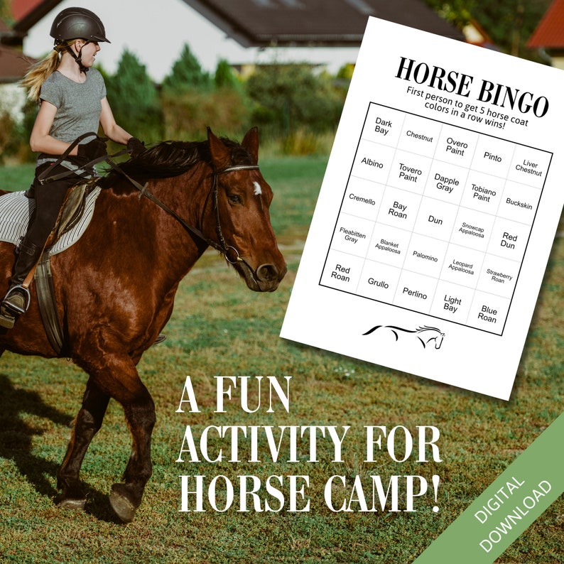 Horse Bingo Card | Horse Camp Worksheet | Horseback Riding Lesson ...