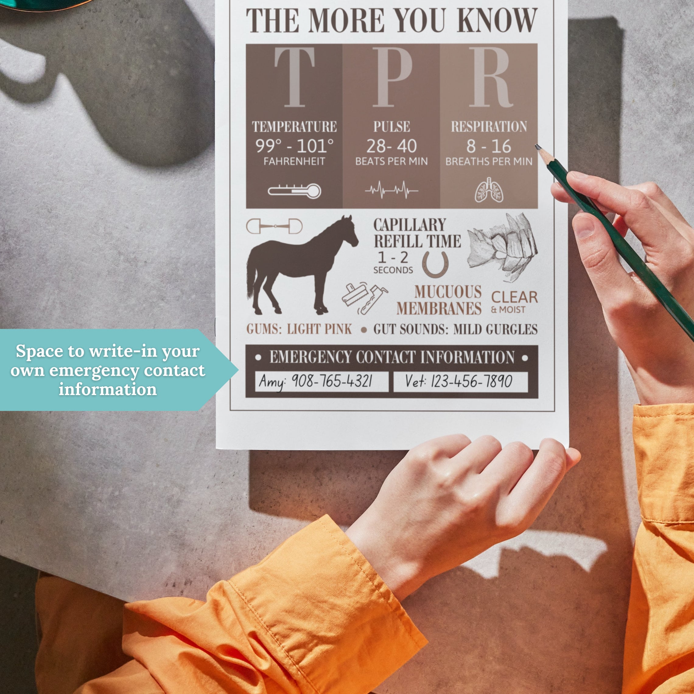 Horse Vital Signs Poster | Barn Emergency Contact Info Sign | Equine ...