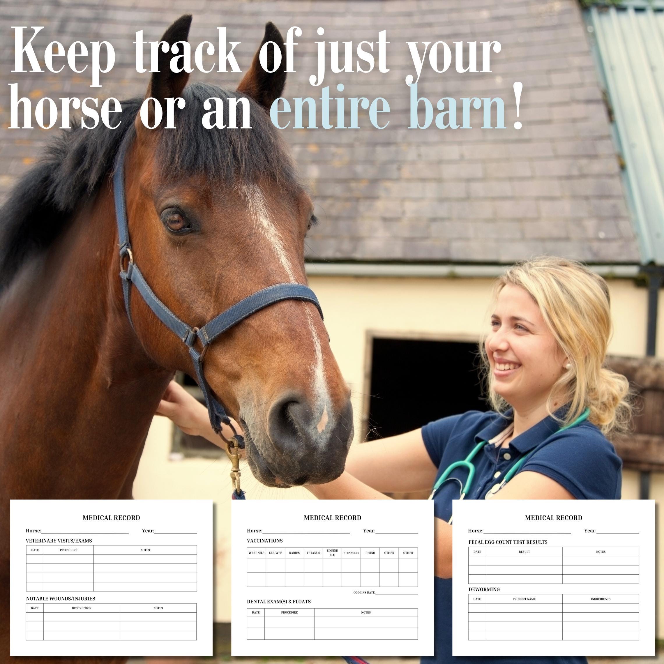 Horse Medical Record Tracking | Equine Veterinary Visit Log ...