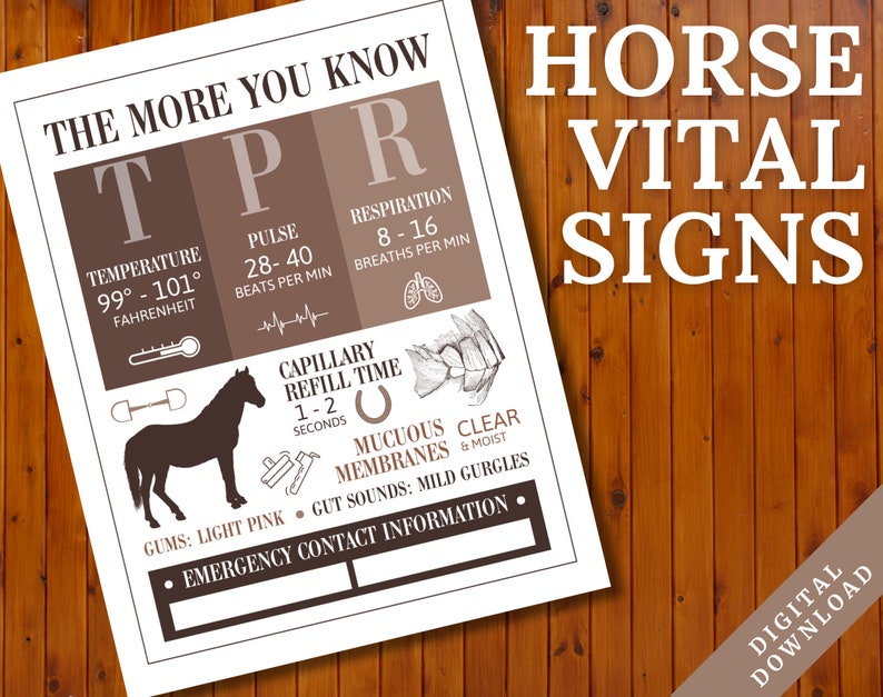 Horse Vital Signs Poster Barn Emergency Contact Info Sign - Etsy