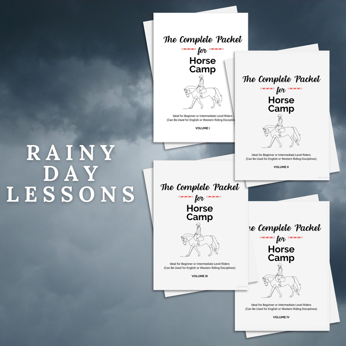 Horse Camp Activity Worksheet | Horseback Riding Lesson Plan ...