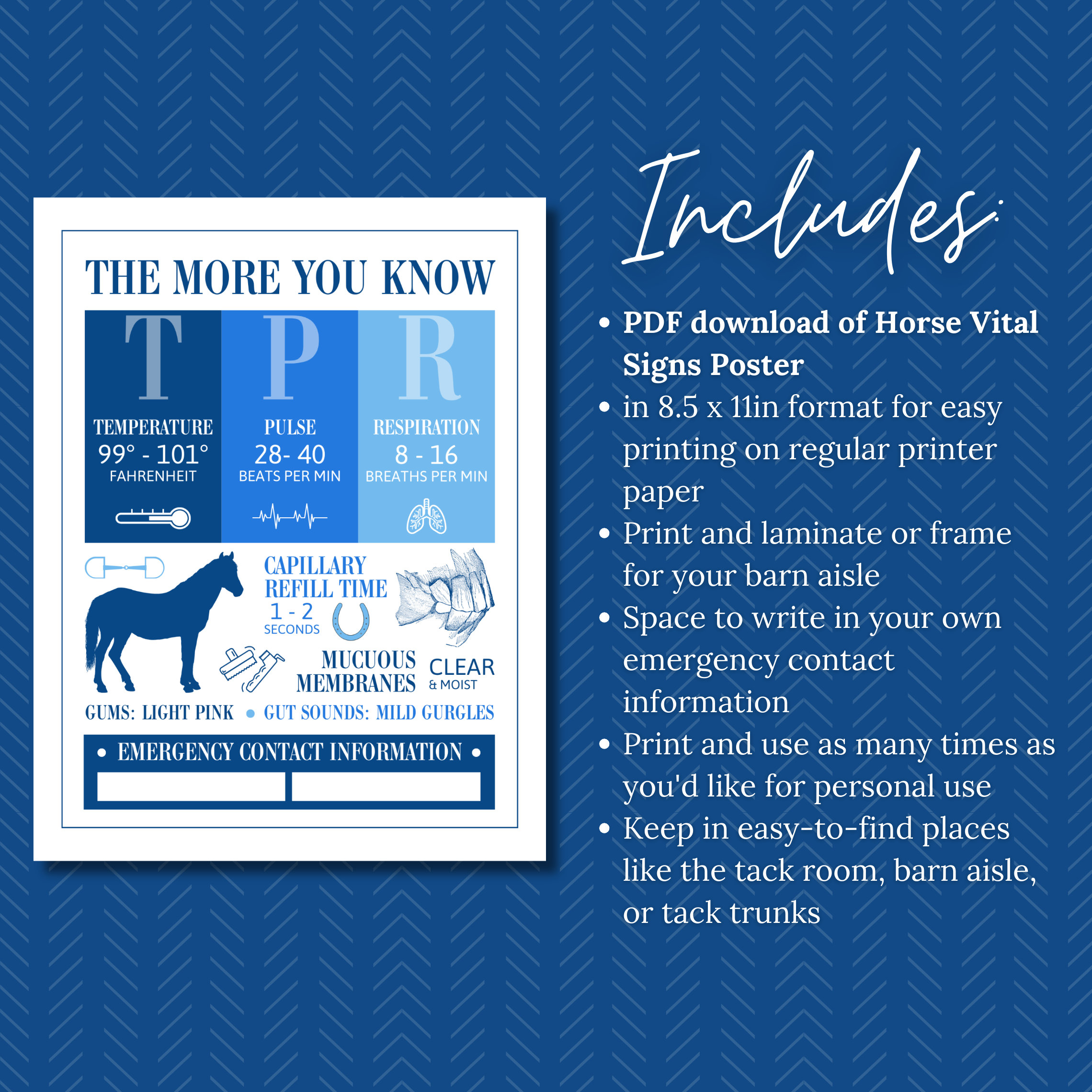 Horse Vital Signs Poster | Barn Emergency Contact Info Sign | Equine ...