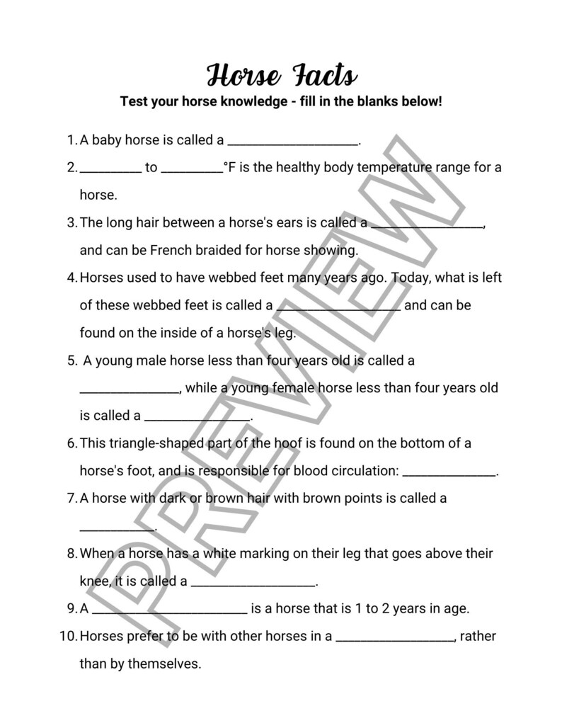 Horse Facts Worksheet - Fill in the Blank - Etsy