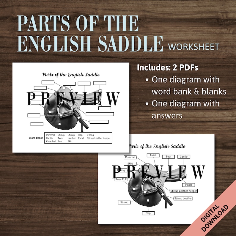 Horse Camp Activity Worksheet | Parts of the English Saddle Worksheet ...