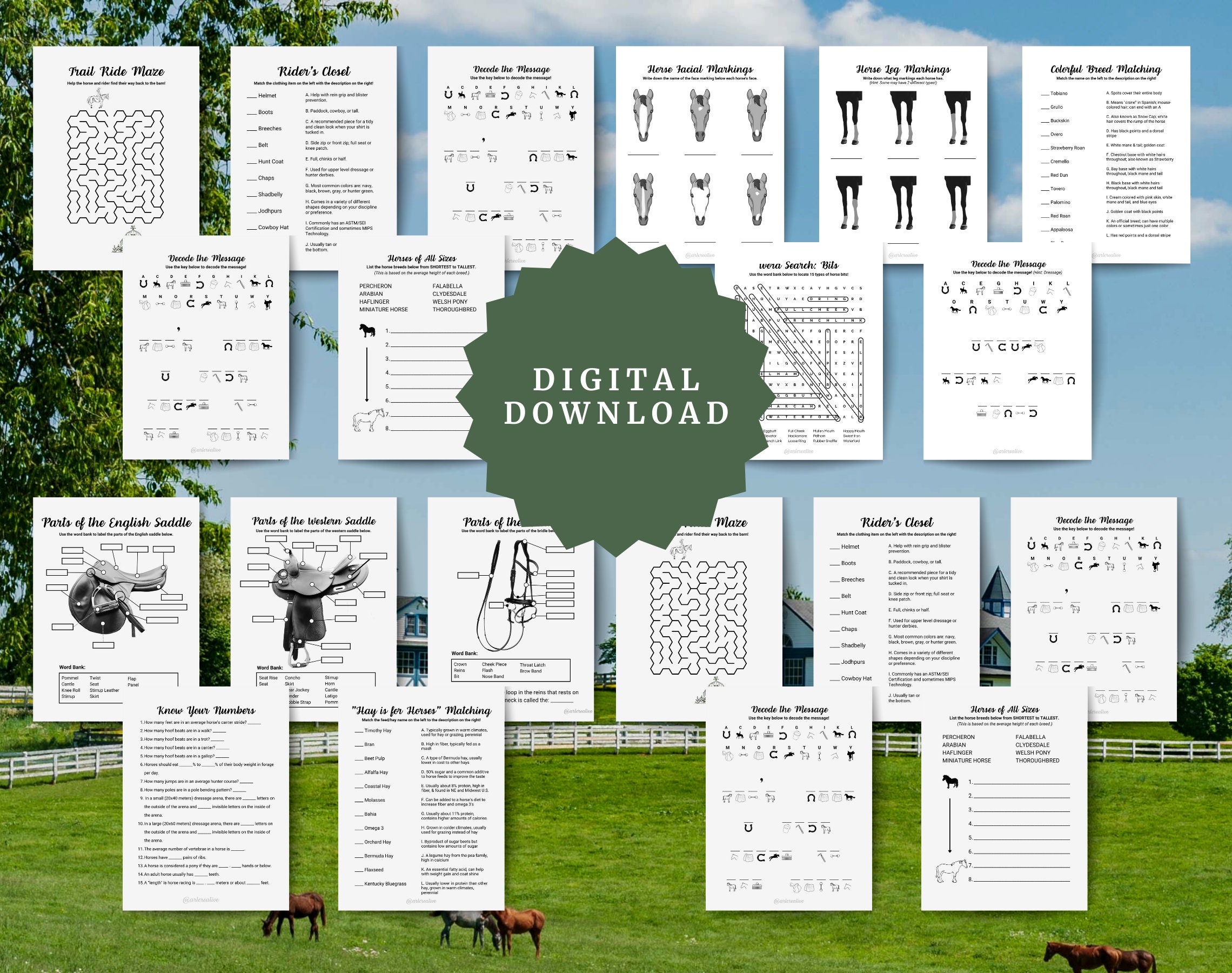 The Equestrian Workbook - Bundle (4 Workbooks) - Etsy