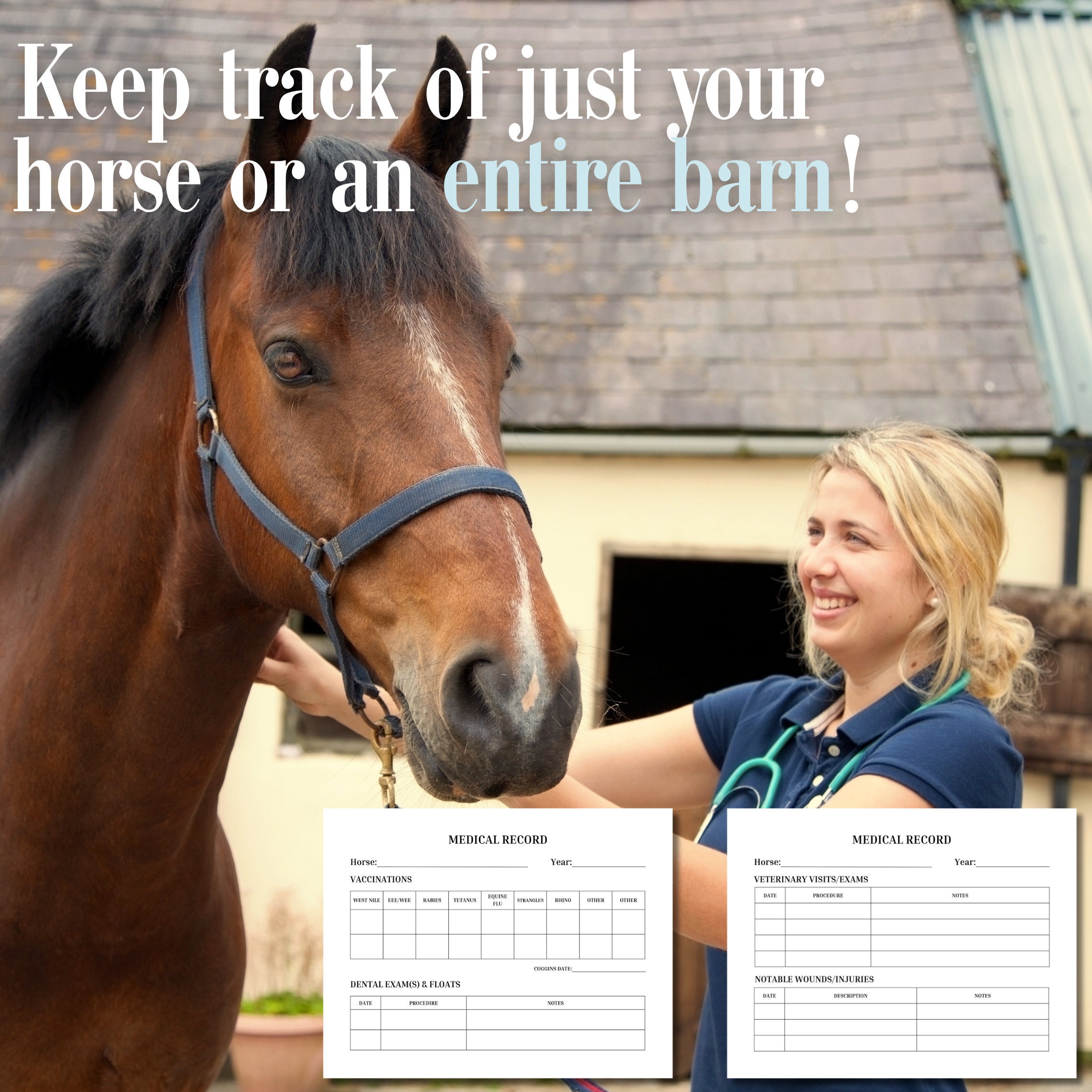 Horse Medical Record Tracking Equine Veterinary Visit Log Vaccination ...