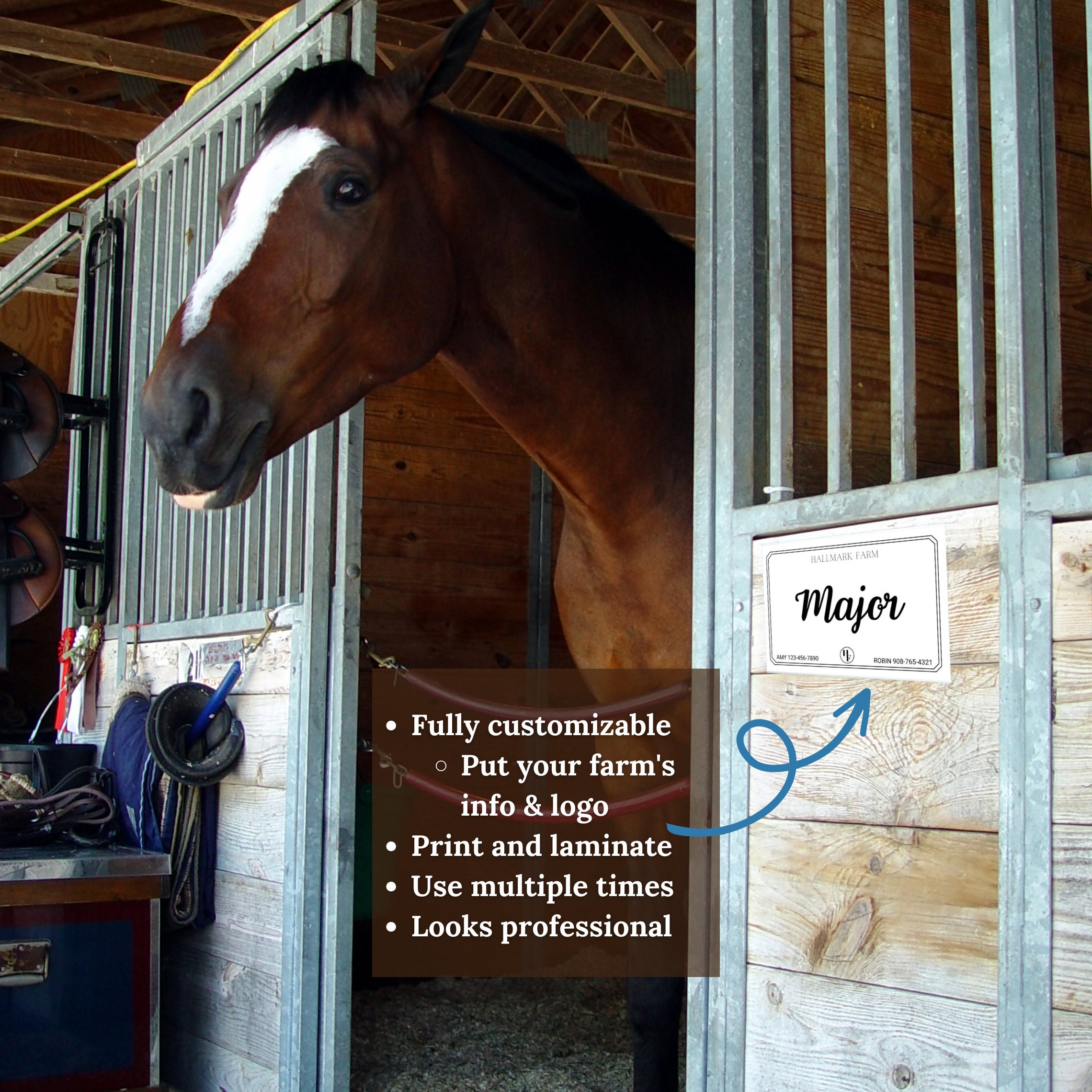 Stall Sign Template | Horse Name Plate Stall Card | Barn Signs Equine ...