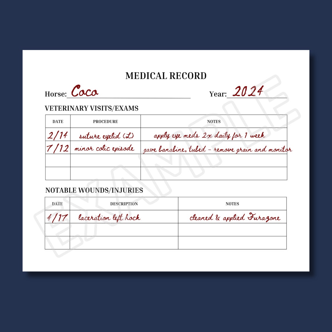 Horse Medical Record Tracking Equine Veterinary Visit Log Vaccination ...