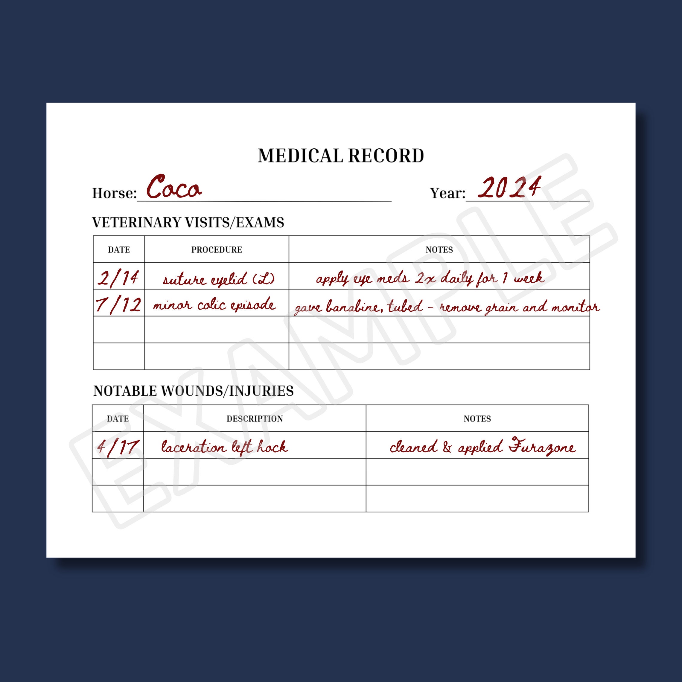 Horse Medical Record Tracking | Equine Veterinary Visit Log ...