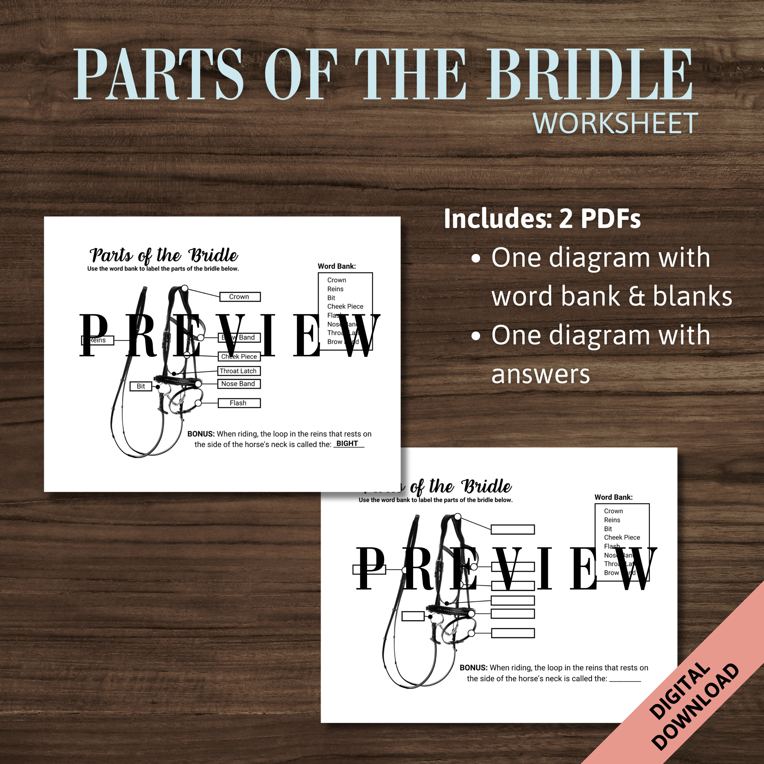 Parts of the Horses Bridle | Label Horse Tack Equipment | Horse Camp ...