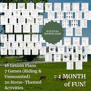 Horse Camp Activity Worksheet | Horseback Riding Lesson Plan ...