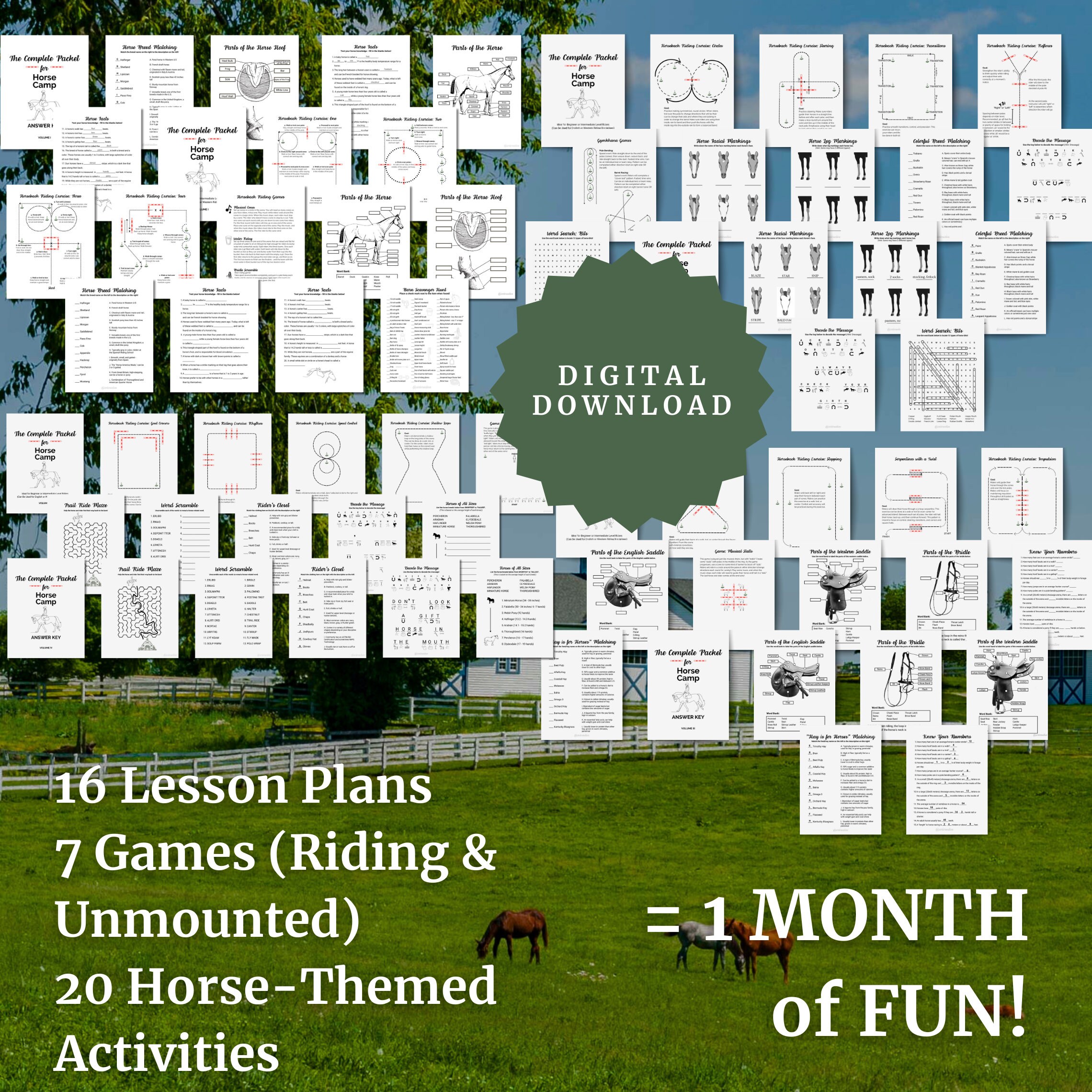 Horse Camp Activity Worksheet | Horseback Riding Lesson Plan ...