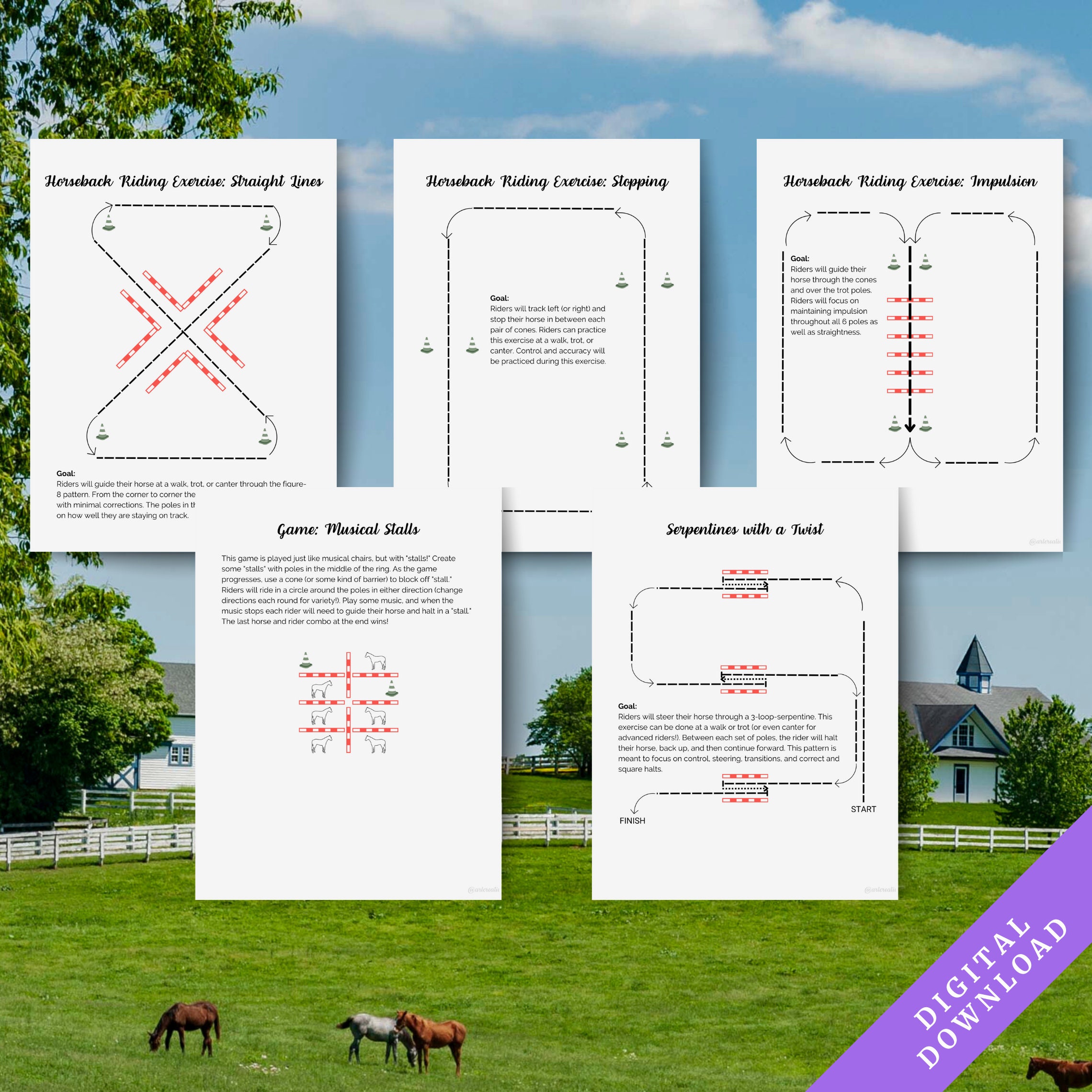 Horse Camp Activity Worksheet | Horseback Riding Lesson Plan ...