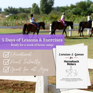Horse Camp Activity Worksheet | Horseback Riding Lesson Plan ...