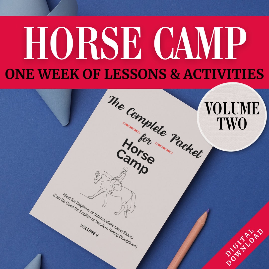 Horse Camp Activity Worksheet | Horseback Riding Lesson Plan ...
