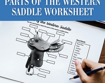 Parts of the Horse Hoof Worksheet Horse Education Horse Summer Camp - Etsy