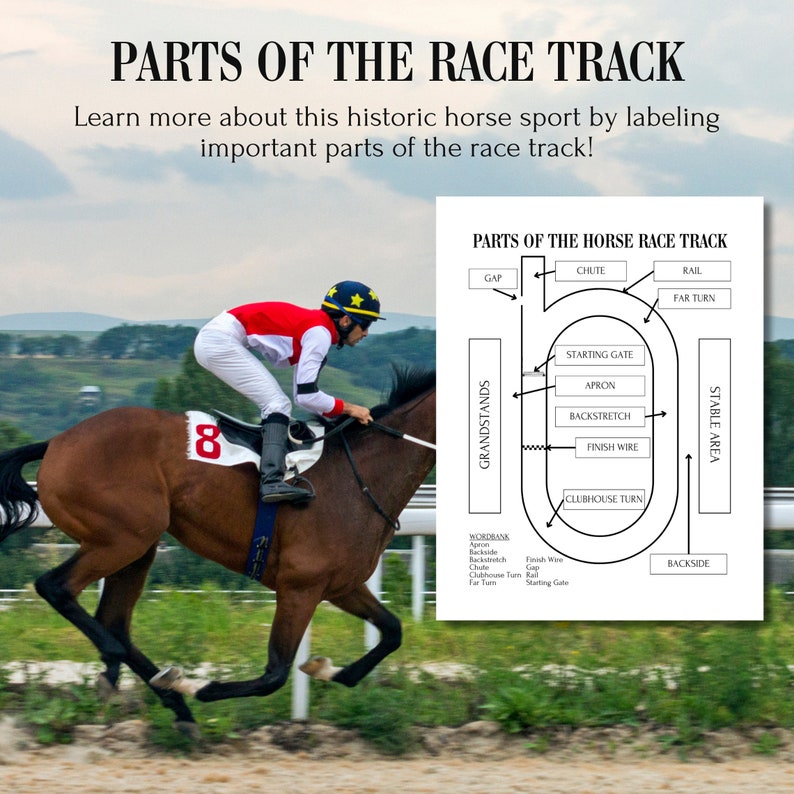 Horse Arena Worksheet Bundle | Horse Racing Track Labeling | Dressage ...