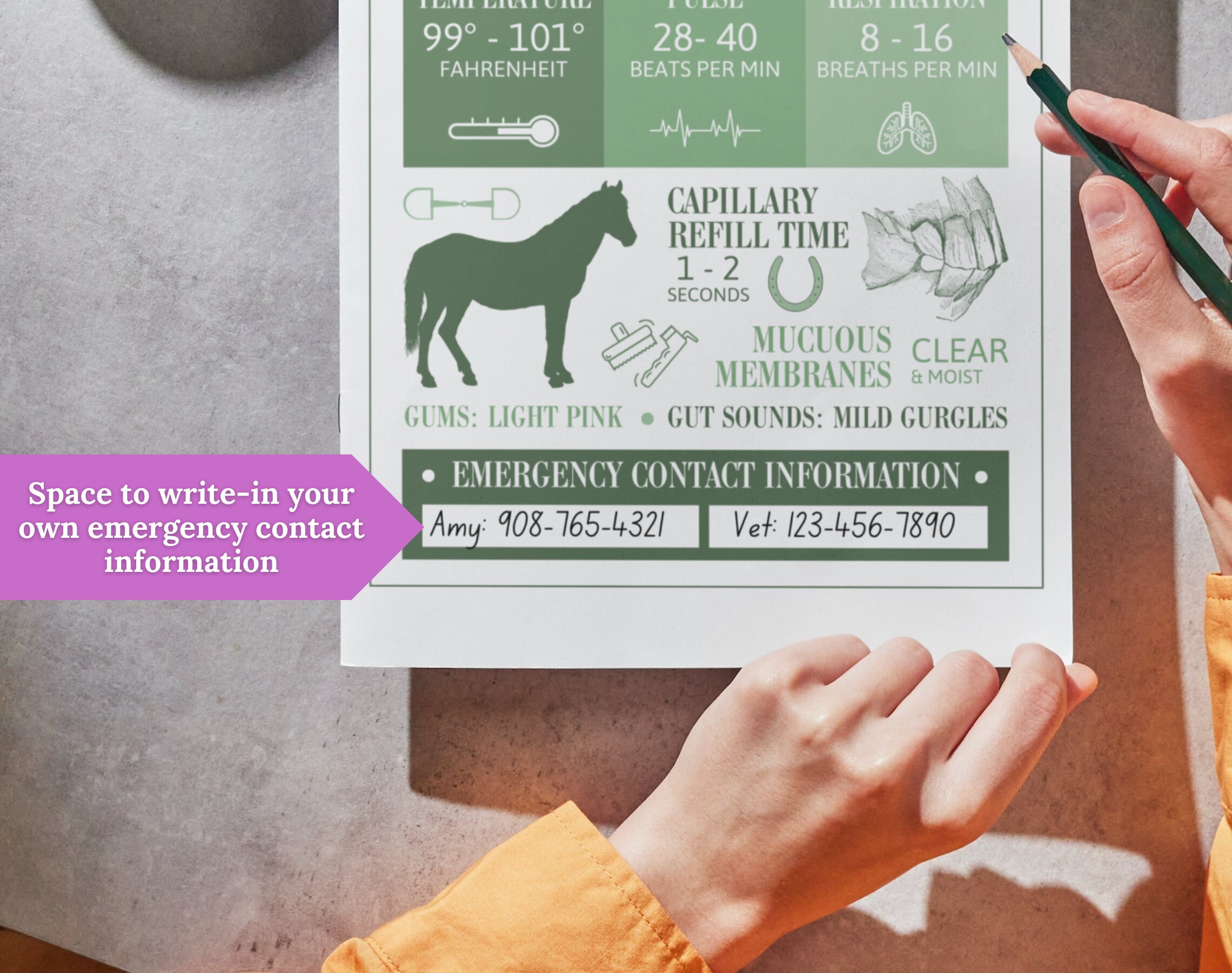 Horse Vital Signs Poster | Barn Emergency Contact Info Sign | Equine ...