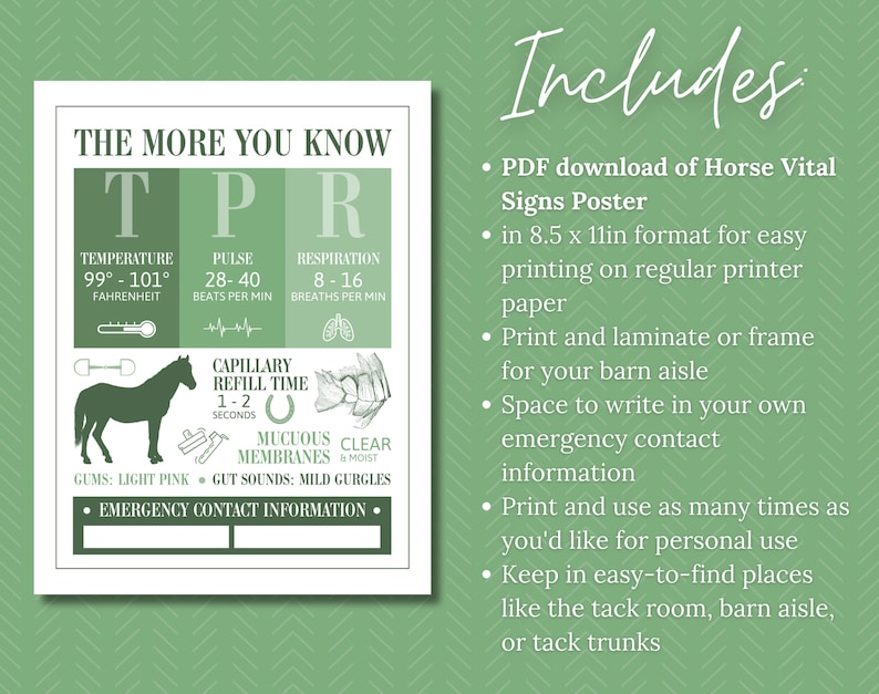 Horse Vital Signs Poster | Barn Emergency Contact Info Sign | Equine ...