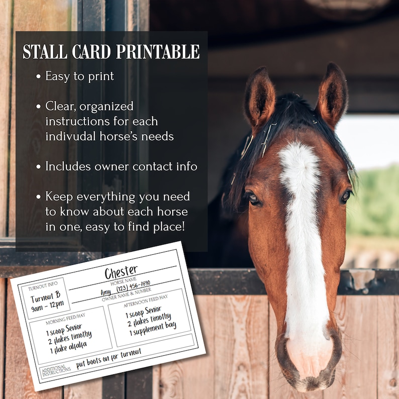 Stall Sign Printable | Horse Name Plate Stall Card | Barn Signs Equine ...